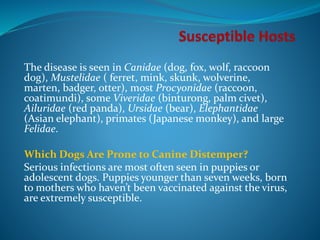 Canine Distemper | PPTX