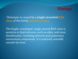 Canine Distemper | PPTX