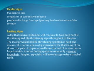 Canine Distemper | PPTX