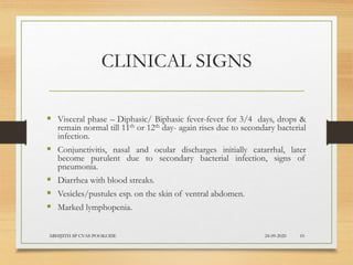 Canine distemper abhijith | PPTX