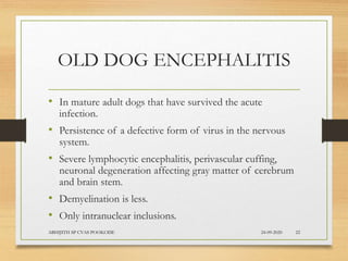 Canine distemper abhijith | PPTX