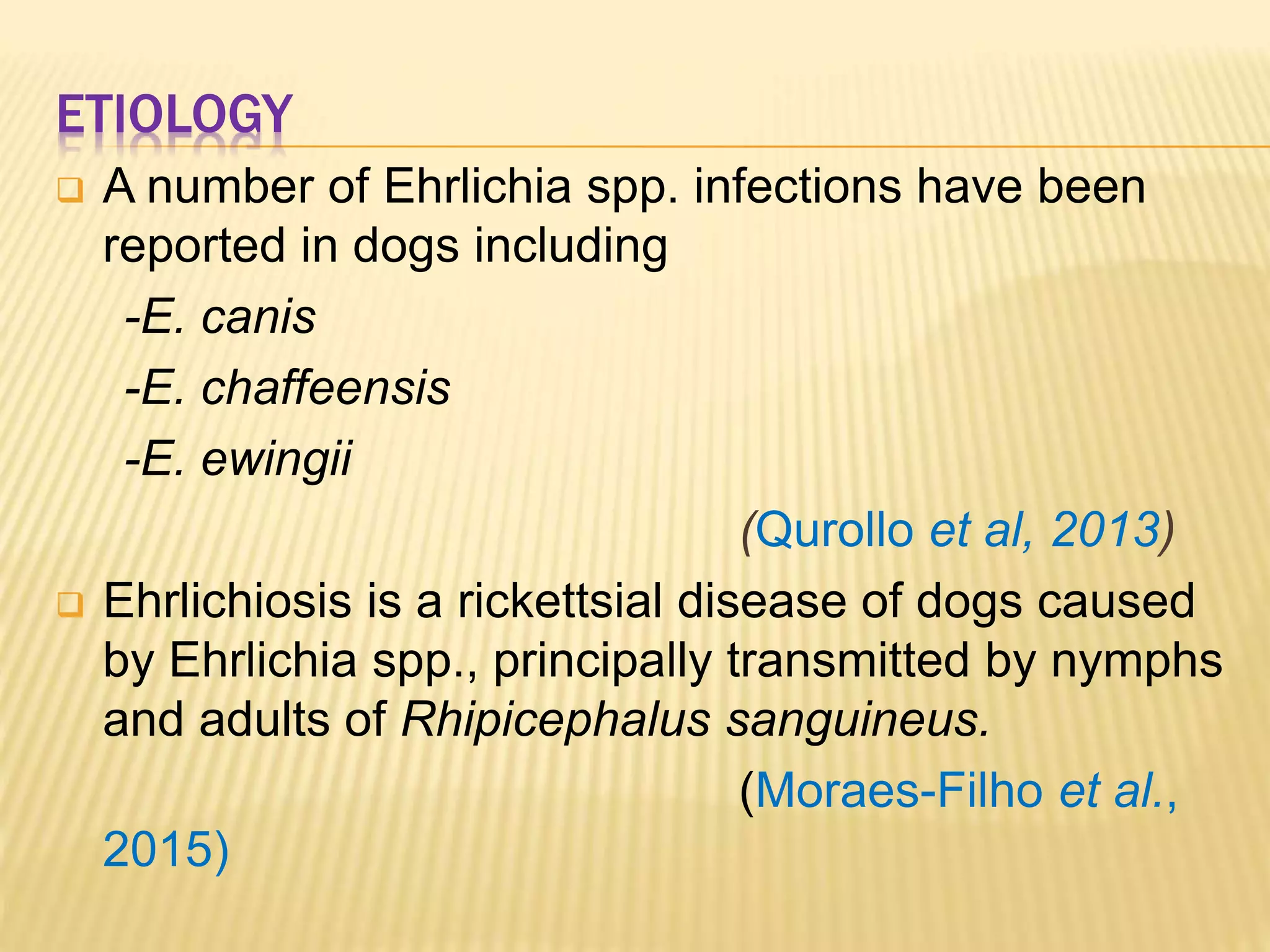 Canine ehrlichiosis | PPTX