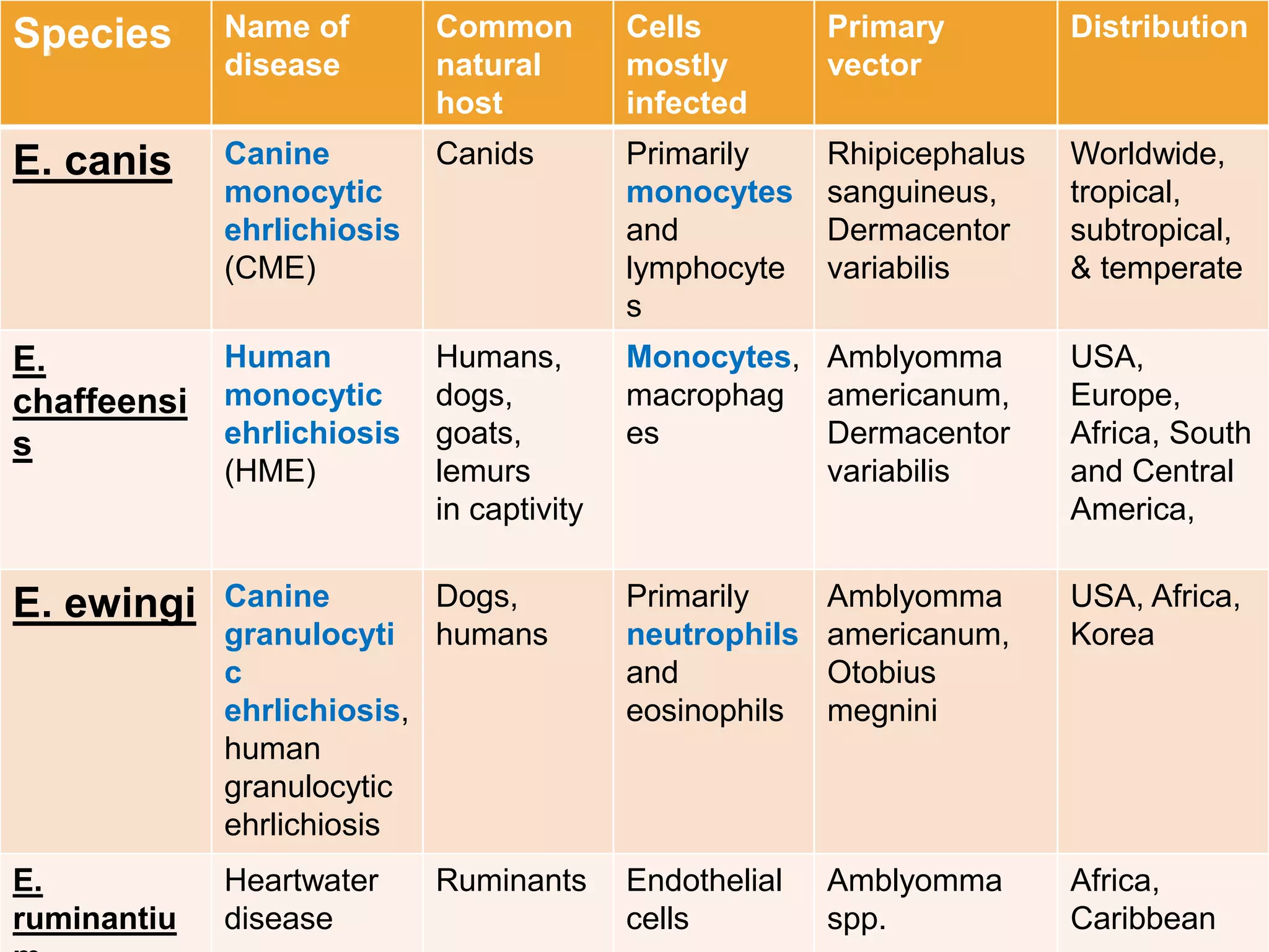 Canine ehrlichiosis | PPTX | Infectious Diseases | Diseases and Conditions