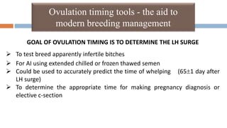 canine estrus breeding and management .pptx