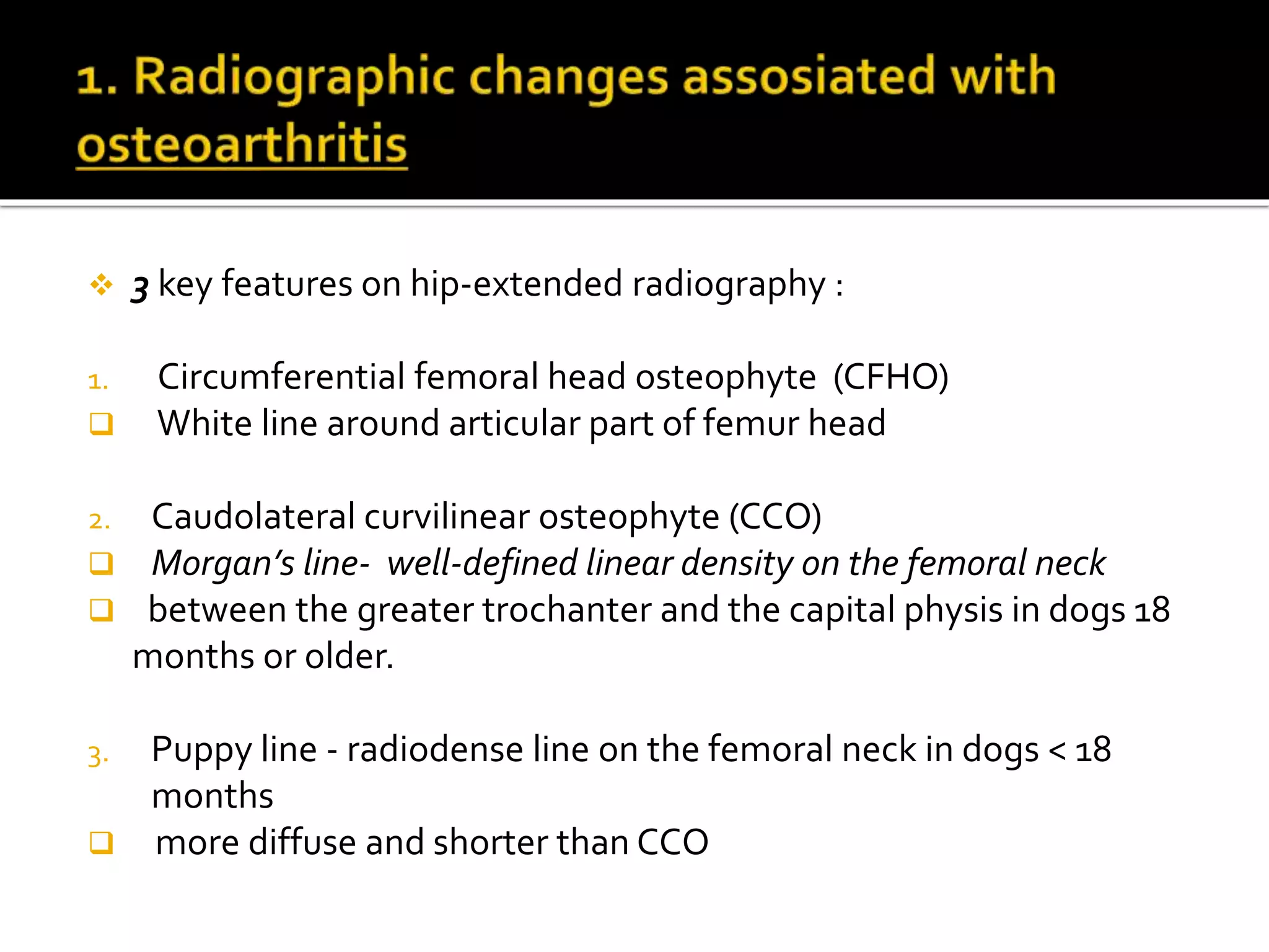 Canine hip dysplasia | PPTX