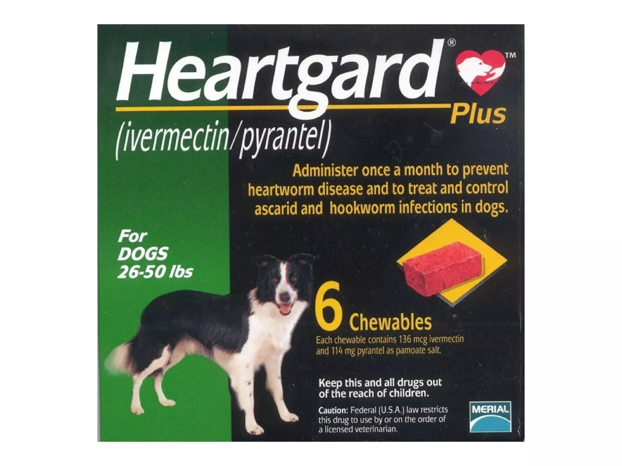 Canine heartworms | PPT