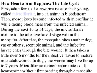 Canine heartworms | PPT