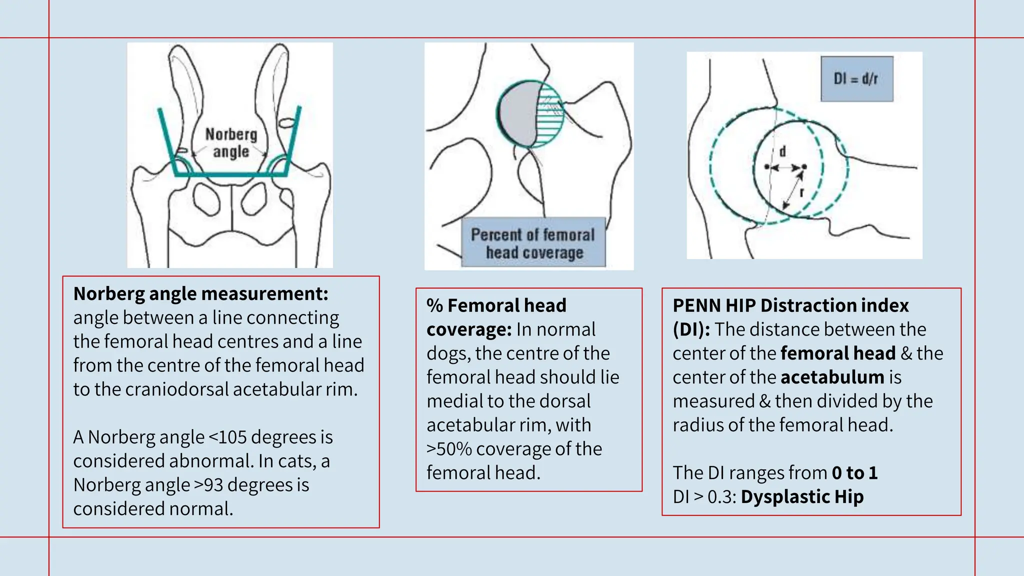 Canine hip dysplasia.pptx