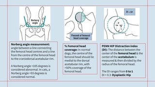 Canine hip dysplasia.pptx