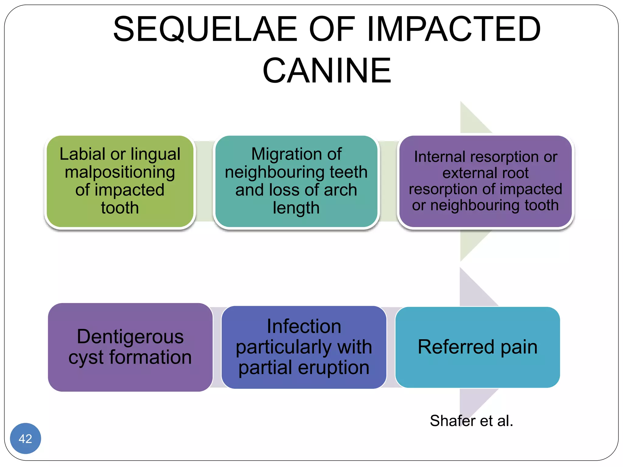 Canine Impaction and Its Importance in Orthodontics | PPTX