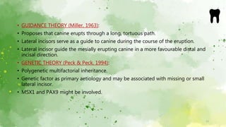 Canine impaction maxillary teeth part 2 | PPT