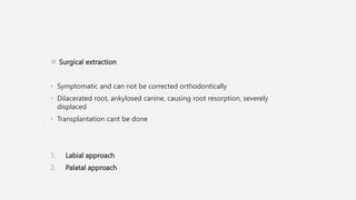 CANINE IMPACTION AND ITS CLINICAL CONSIDERATIONS.pptx