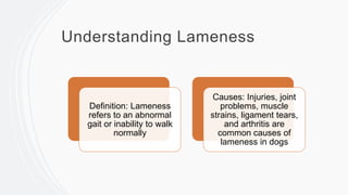 canine lameness and how o tackle such condition's in dogs | PPTX