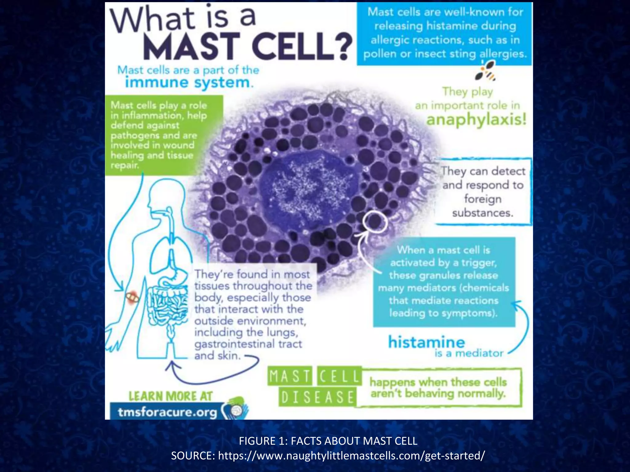 Canine Mast Cell Tumor | PPTX