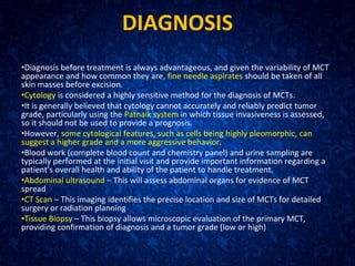 Canine Mast Cell Tumor | PPTX