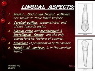 Canine presentation | PPTX