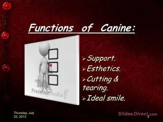 Canine presentation | PPTX