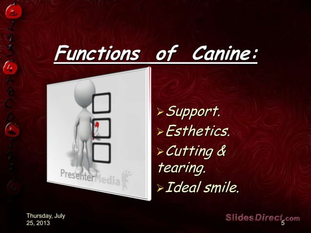 Canine presentation | PPT
