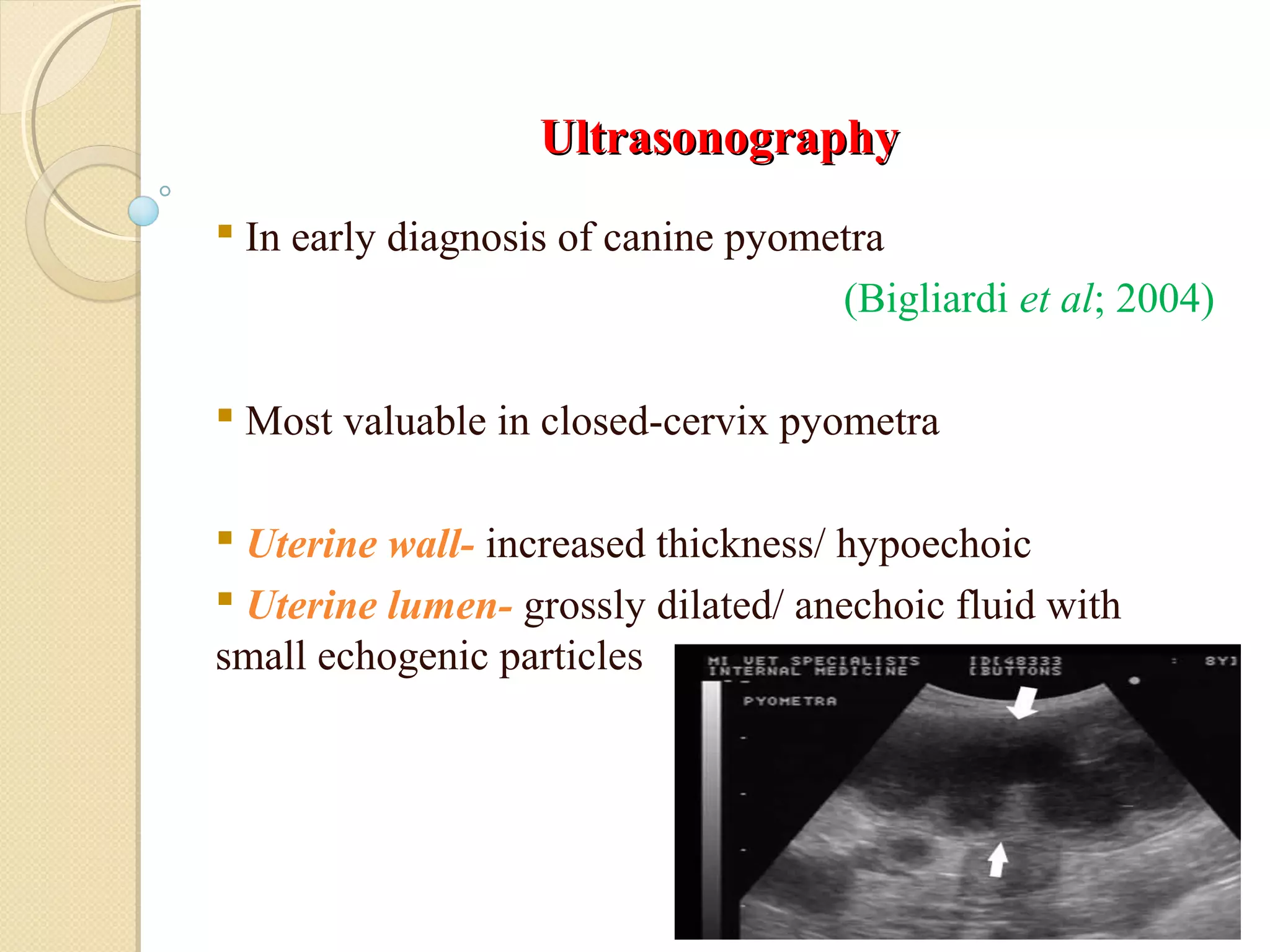 Canine pyometra | PPT