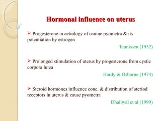 Canine pyometra | PPT