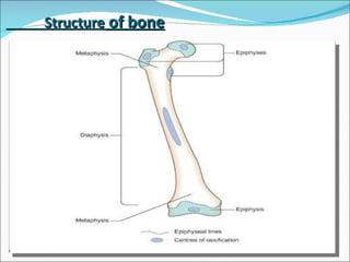 Canine Rickets | PPT