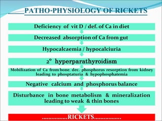 Canine Rickets | PPT