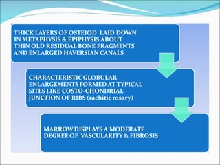 Canine Rickets | PPT