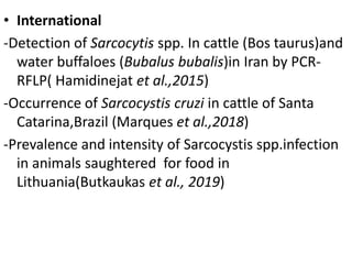 Canine sarcocystis,sarcocystosis | PPTX