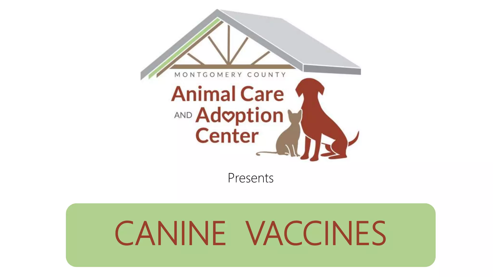 Canine vaccine training presentation | PPTX