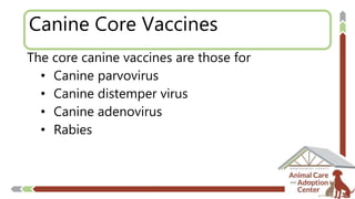 Canine vaccine training presentation | PPTX