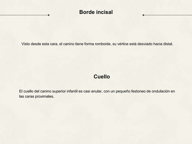 Anatomía Dental II - Canino Deciduo | PPTX
