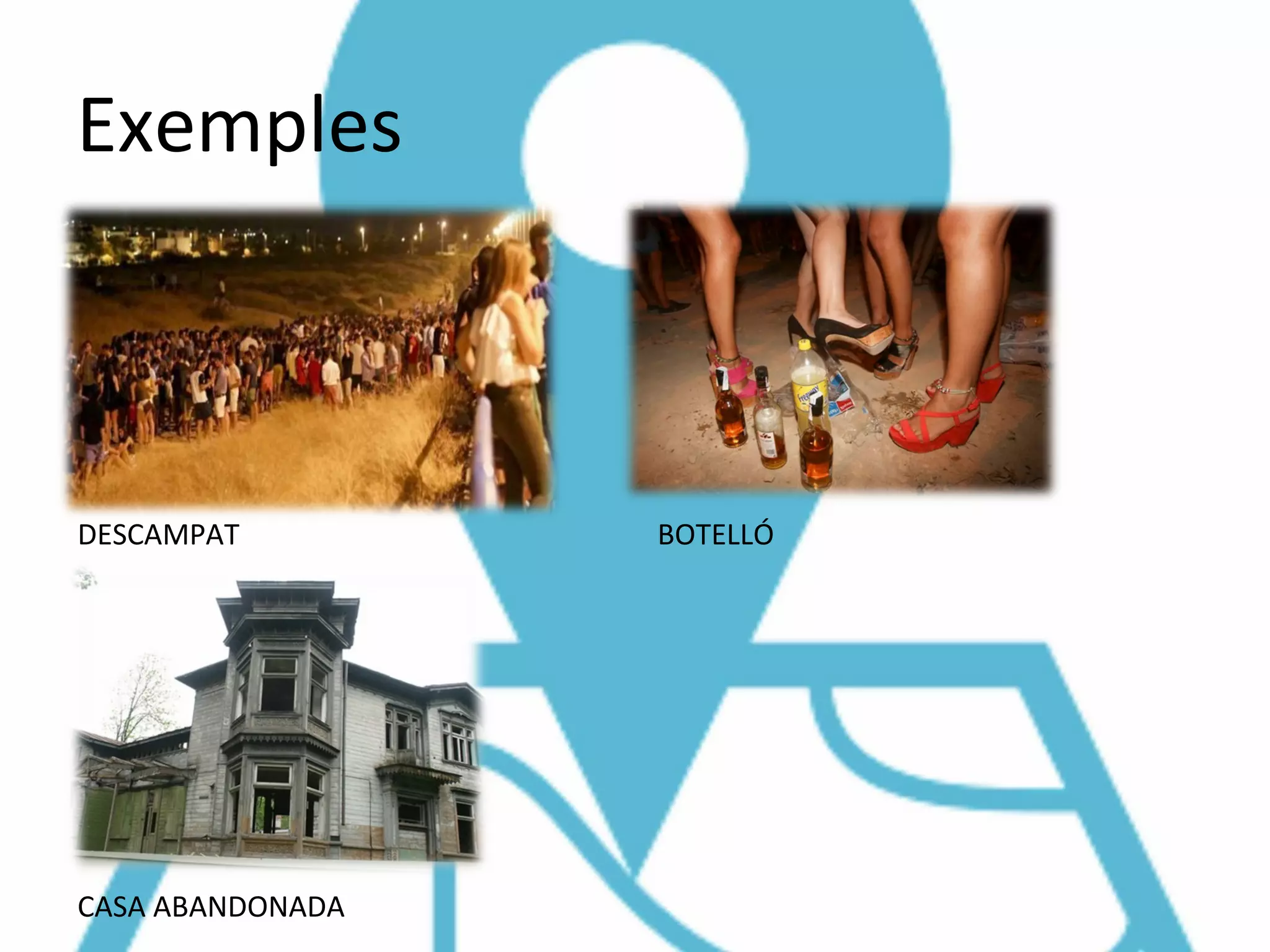 Canis i chonis | PPT