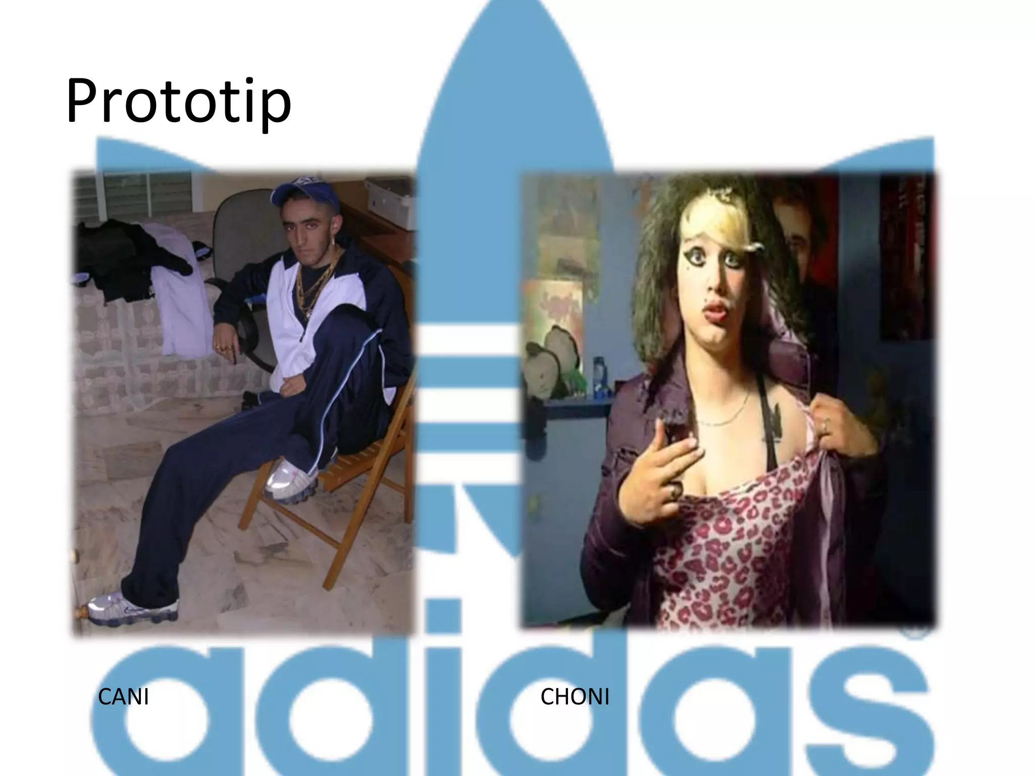 Canis i chonis | PPT