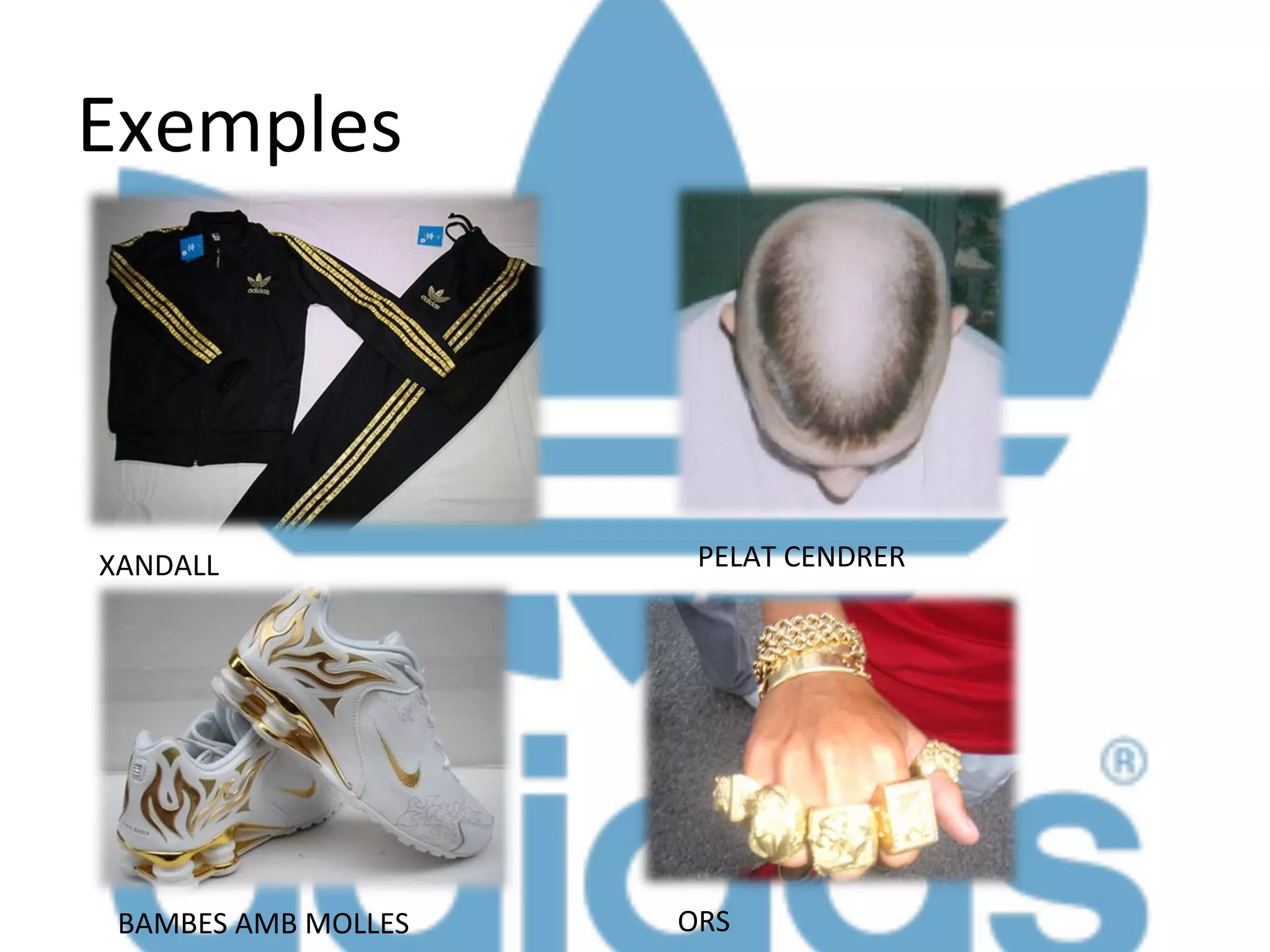 Canis i chonis | PPT