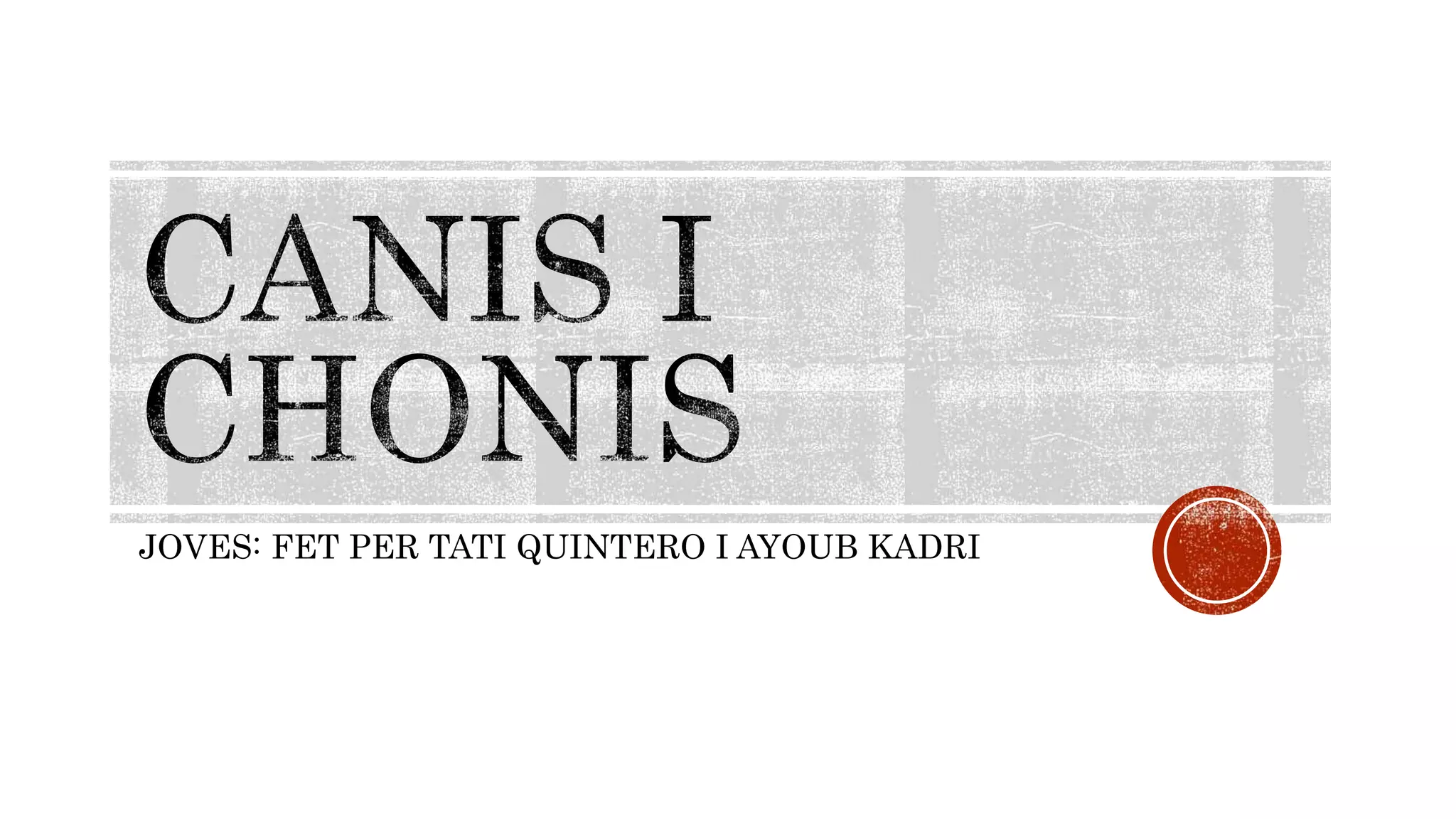 Canis i chonis p | PPT