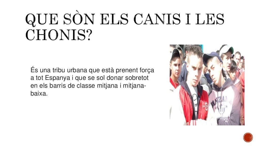Canis i chonis p