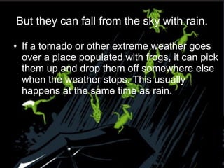 Can It Really Rain Frogs? | PPT