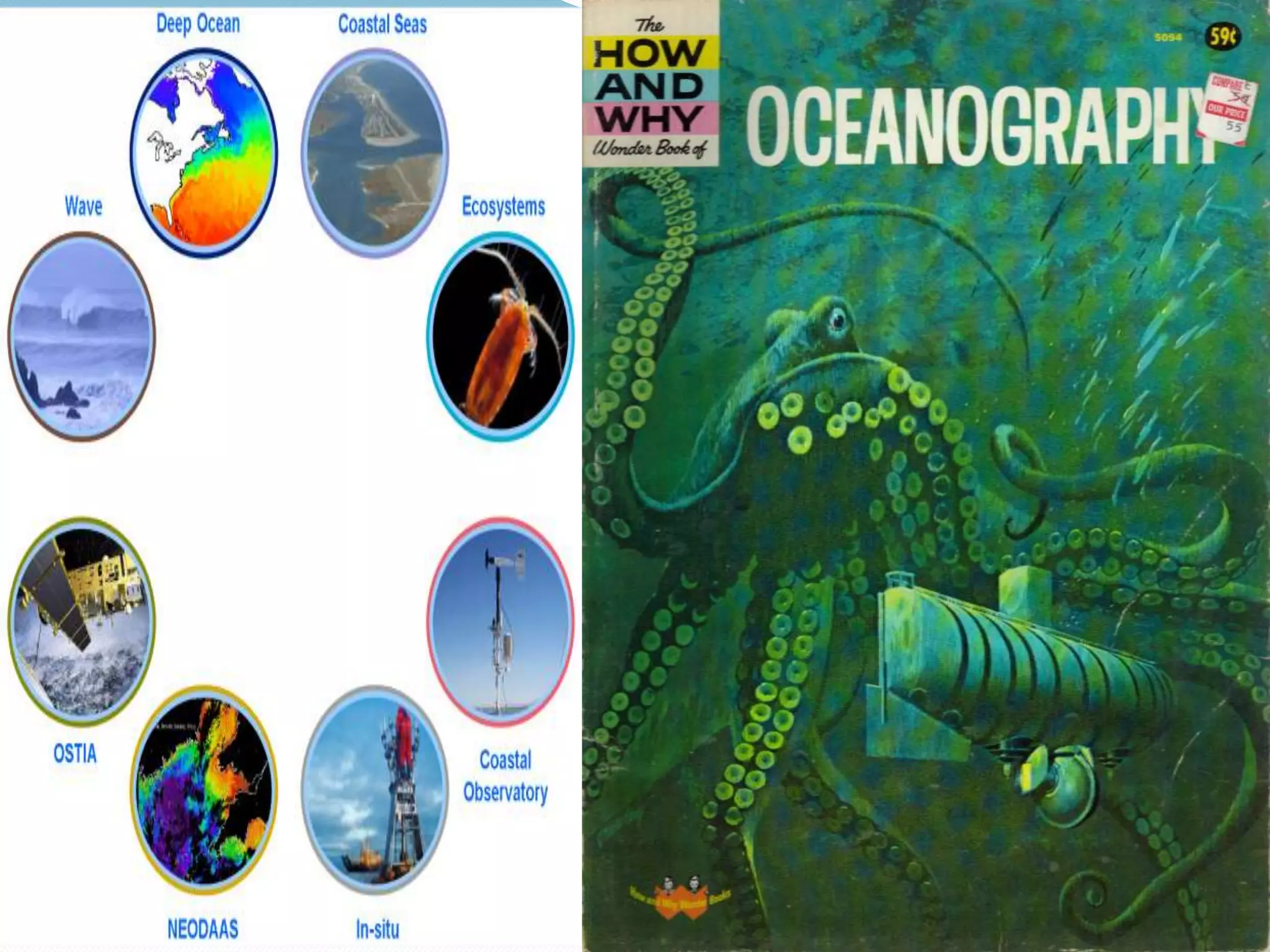 Remote Sensing Techniques for Oceanography Satelitte and In Situ ...