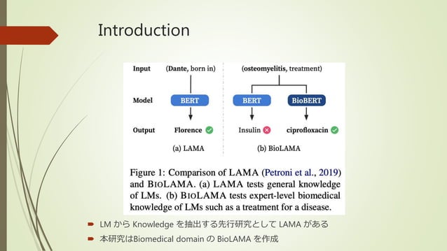 Can language models be biomedical knowledge bases | PPT