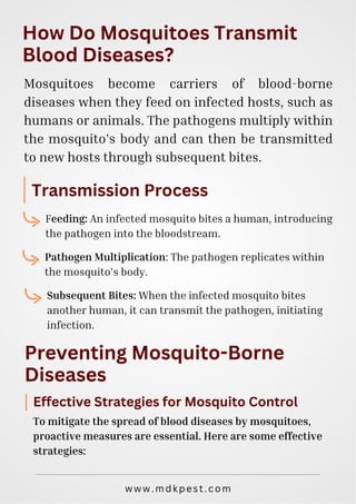 Can mosquitoes spread blood diseases?.pdf