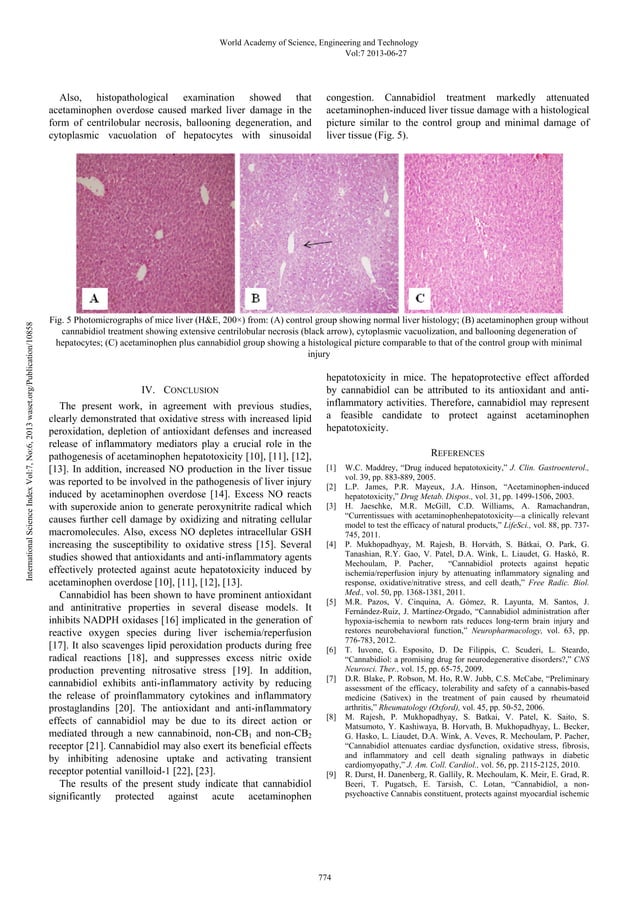 Cannabidiol treatment-ameliorates-acetaminophen-induced-hepatotoxicity ...