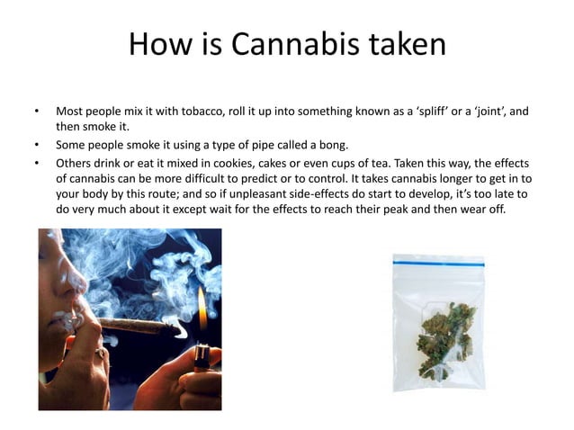 Cannabis | PPT