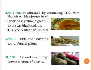 Cannabis | PPT