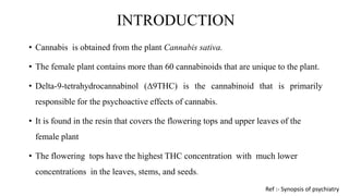 Cannabis | PPTX