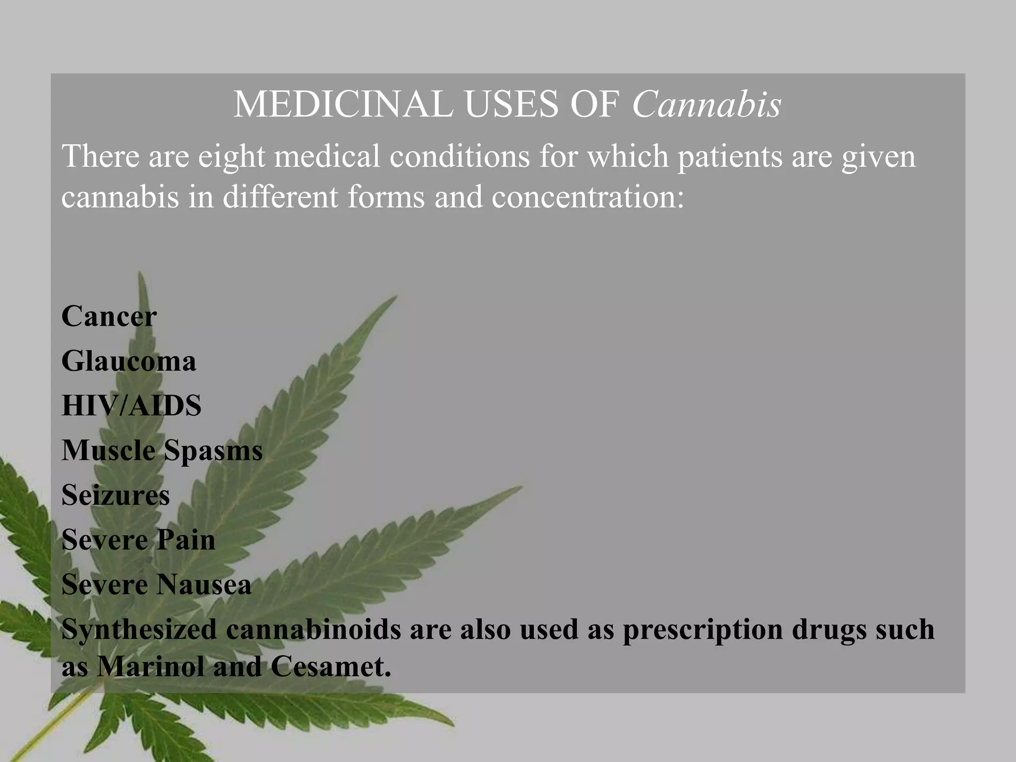 Cannabis.ppt