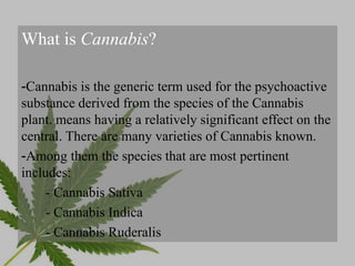 Cannabis.ppt