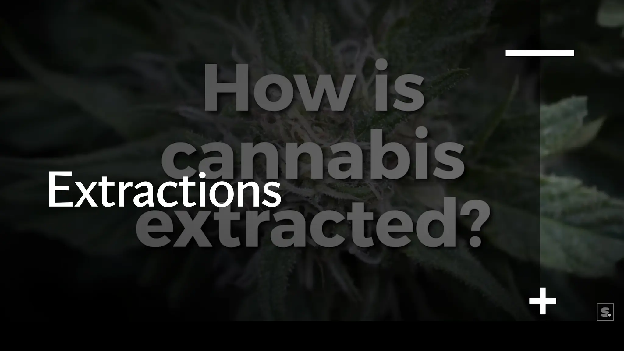 Cannabis Pdf