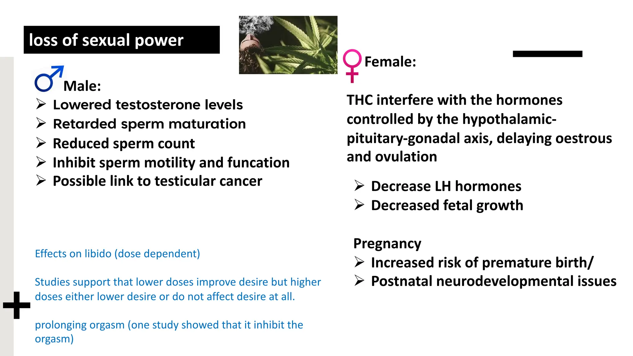 Cannabis.pdf | Free Download