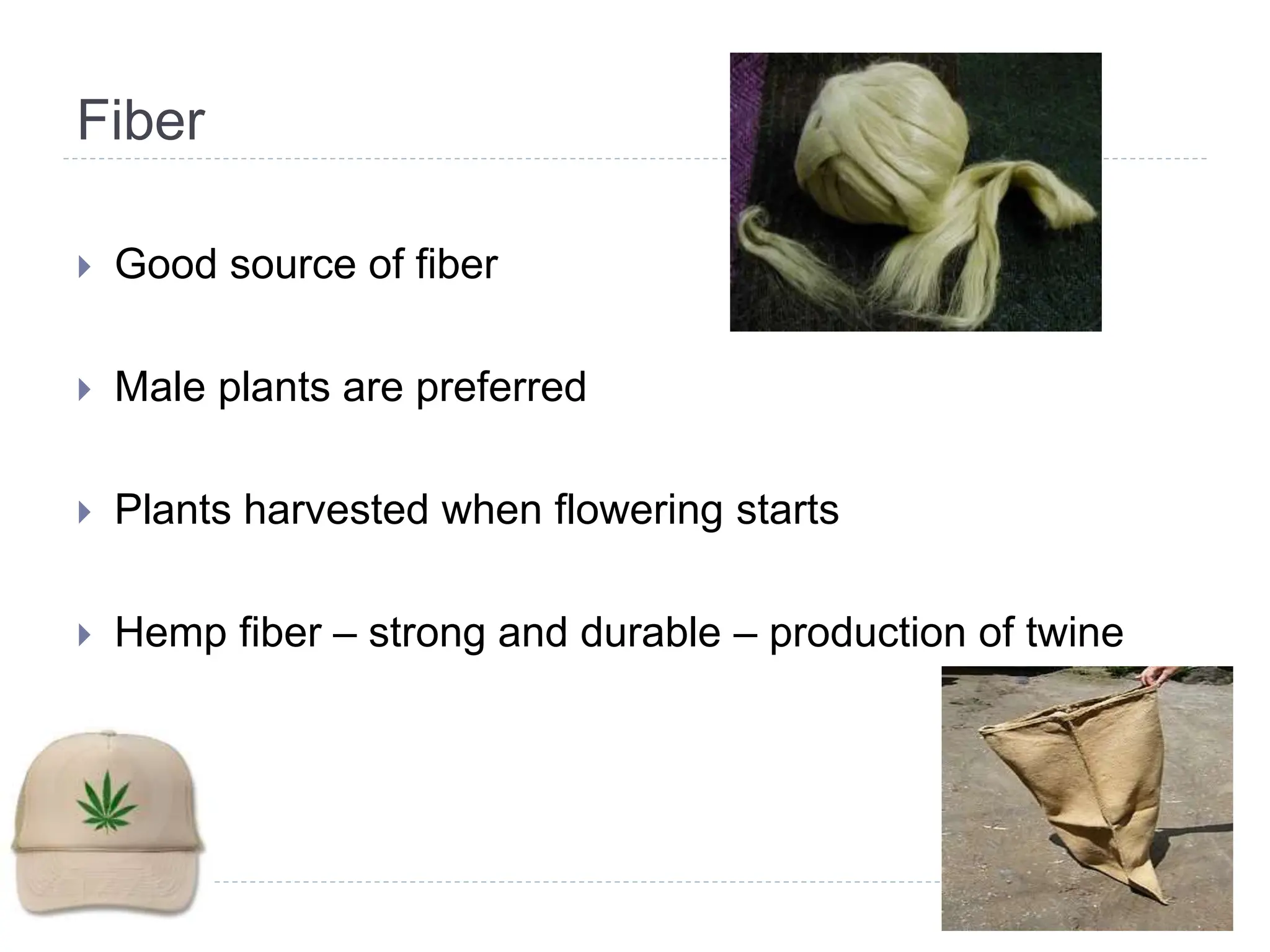 cannabis - Botany, propagation, uses, etcpptx | PPTX