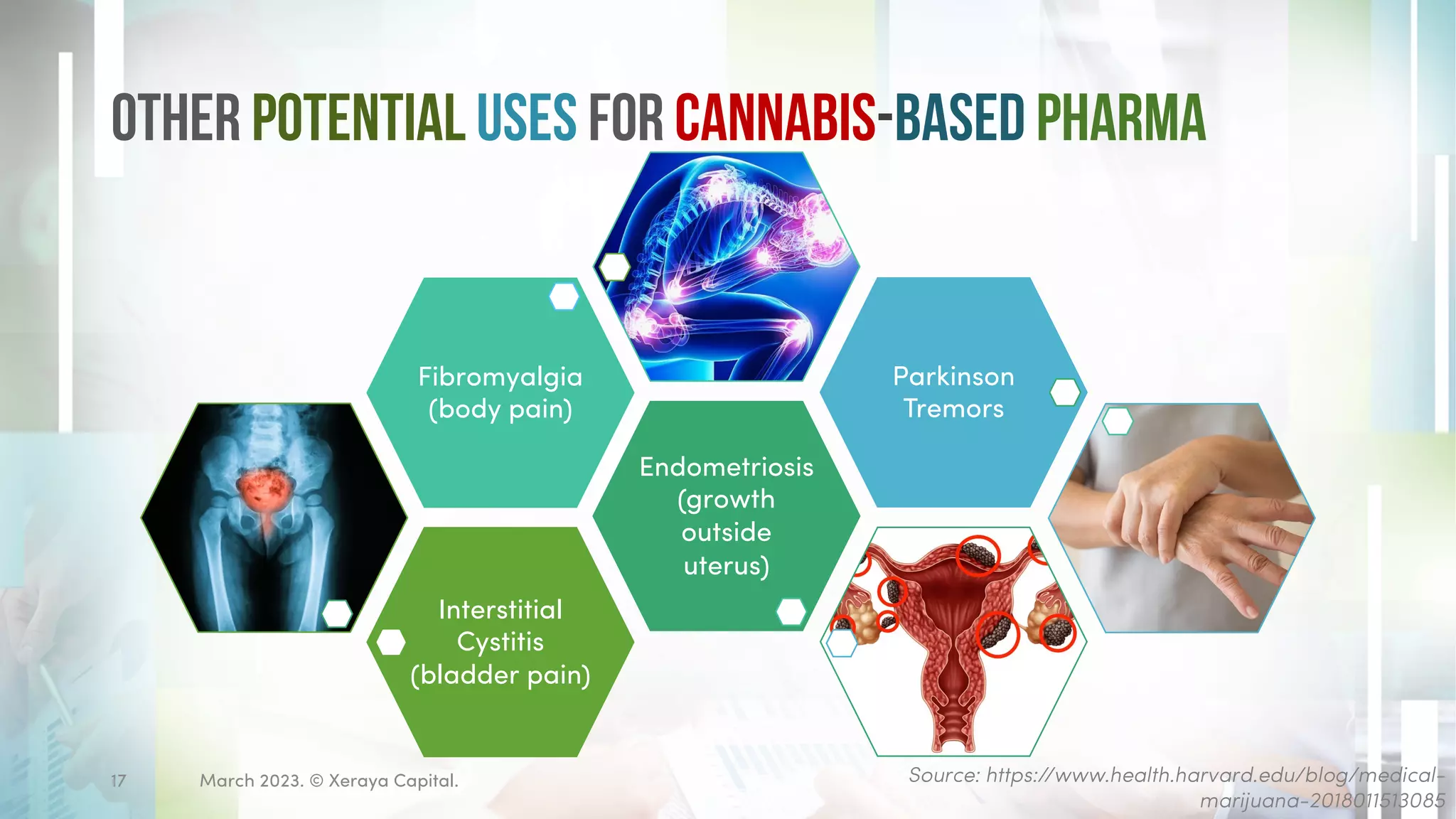 Cannabis-based Medication | PDF